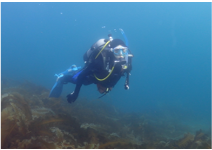 Member|Official Website of Akkeshi Marine Station, Hokkaido University